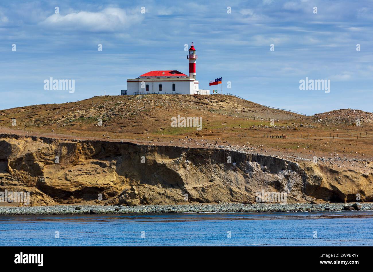 Magdalena Island Lighthouse, Magellan Strait, Magallanes Region, Chile ...