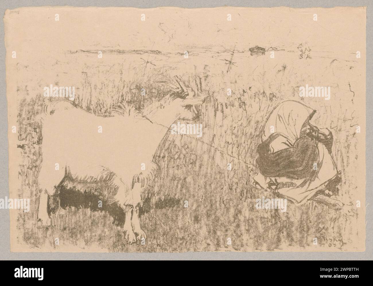 Witke jezewski dominik hi-res stock photography and images - Alamy