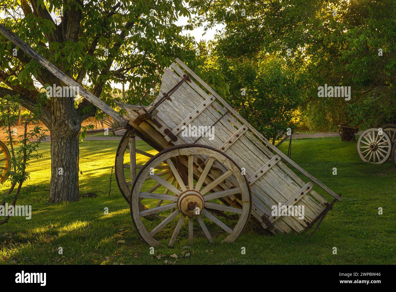 La jacintana hi-res stock photography and images - Alamy