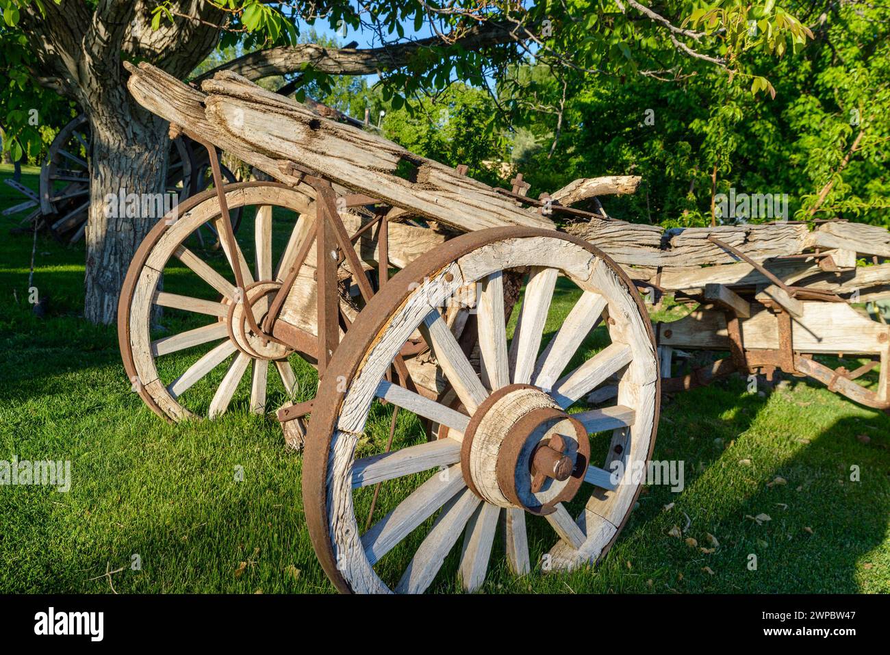 Water wagon history hi-res stock photography and images - Alamy