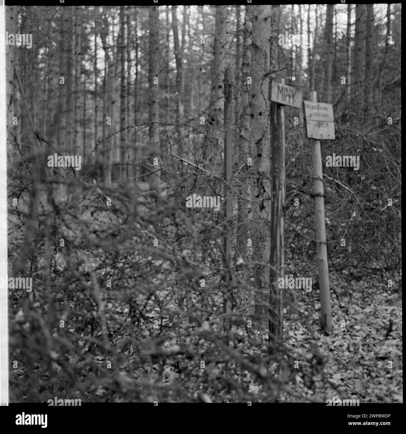 The area of "Wilcze Szańc", the headquarters of Adolf Hitler - boards ...