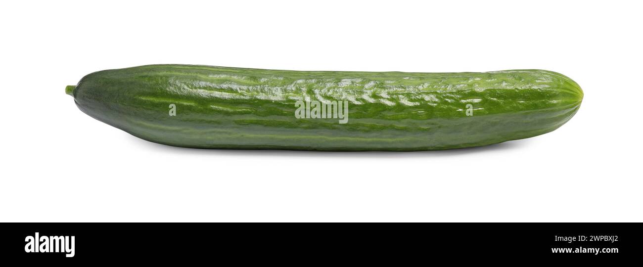 One long fresh cucumber isolated on white Stock Photo - Alamy