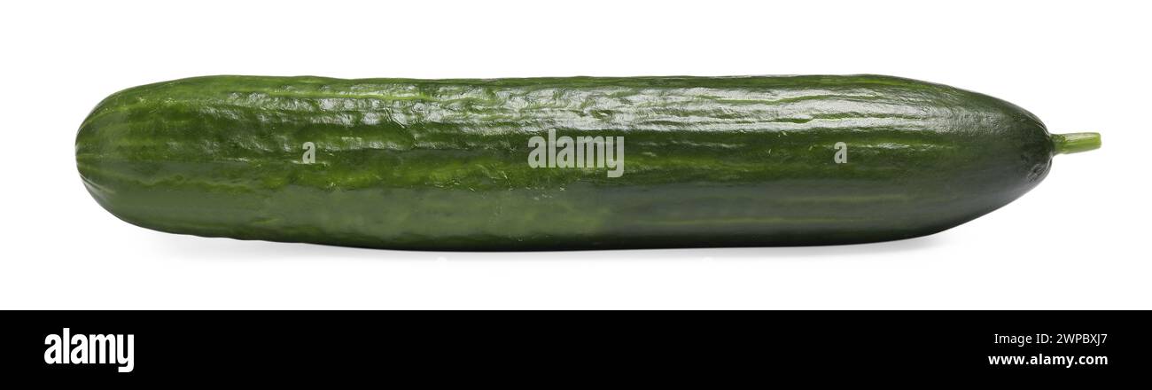 One long fresh cucumber isolated on white Stock Photo - Alamy