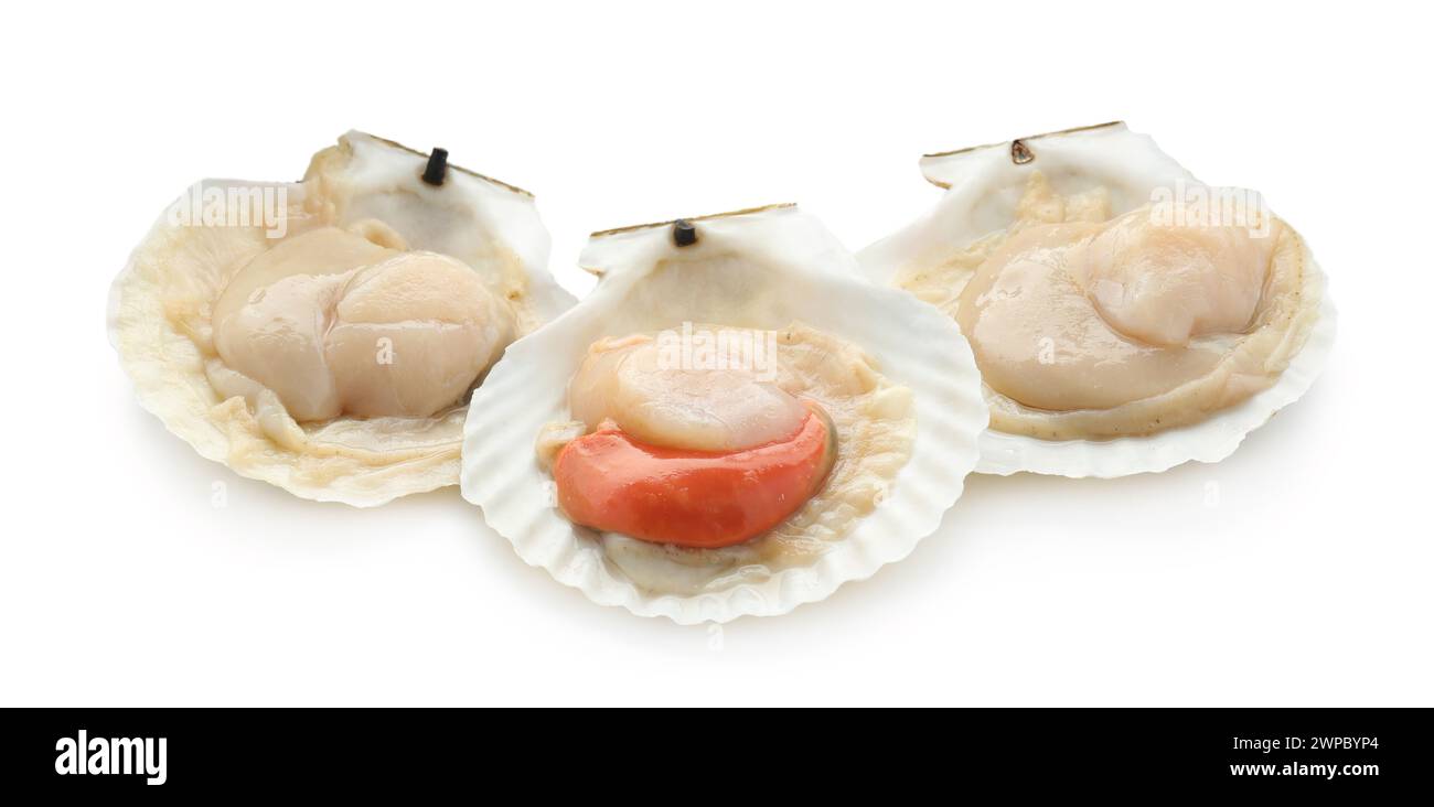 Raw scallops in shells hi-res stock photography and images - Alamy