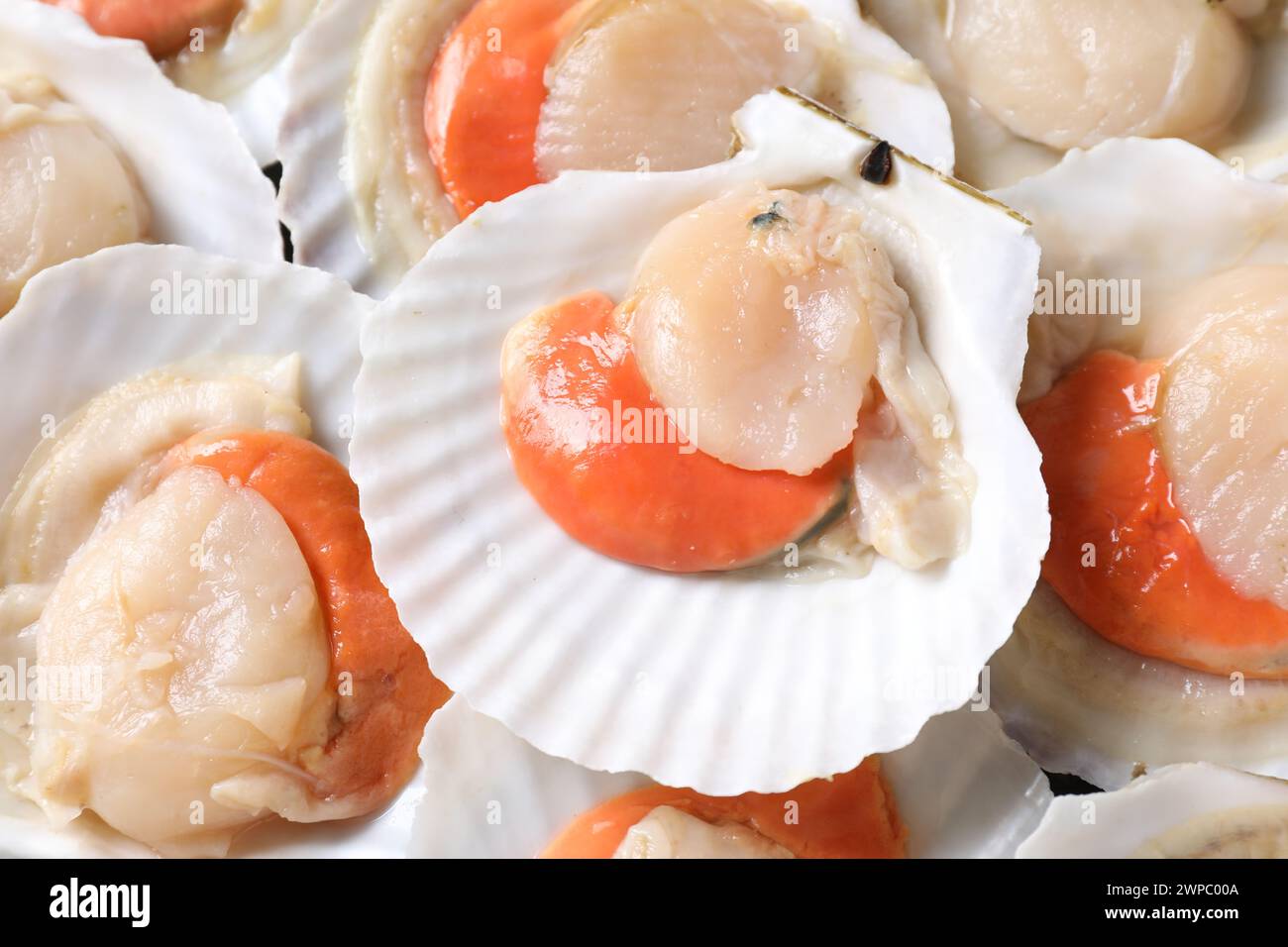 Fresh raw scallops with shells as background, top view Stock Photo - Alamy