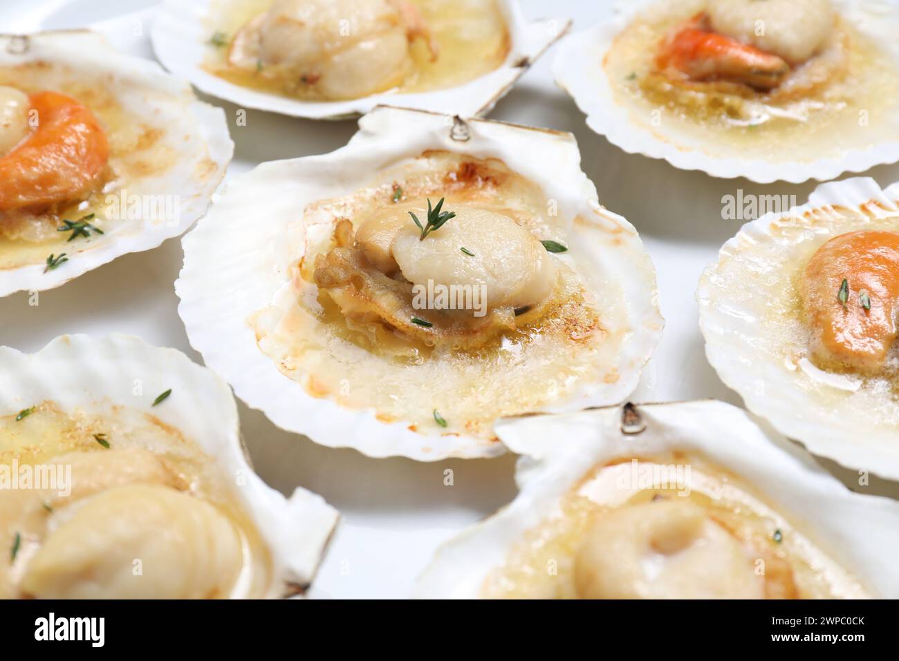 Grilled scallops in shells hi-res stock photography and images - Alamy