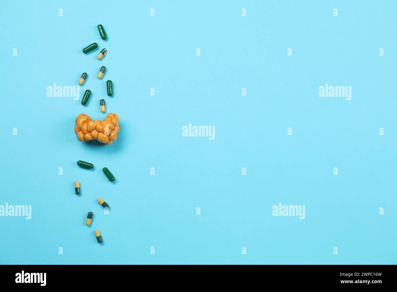 Endocrinology. Capsules and model of thyroid gland on light blue ...