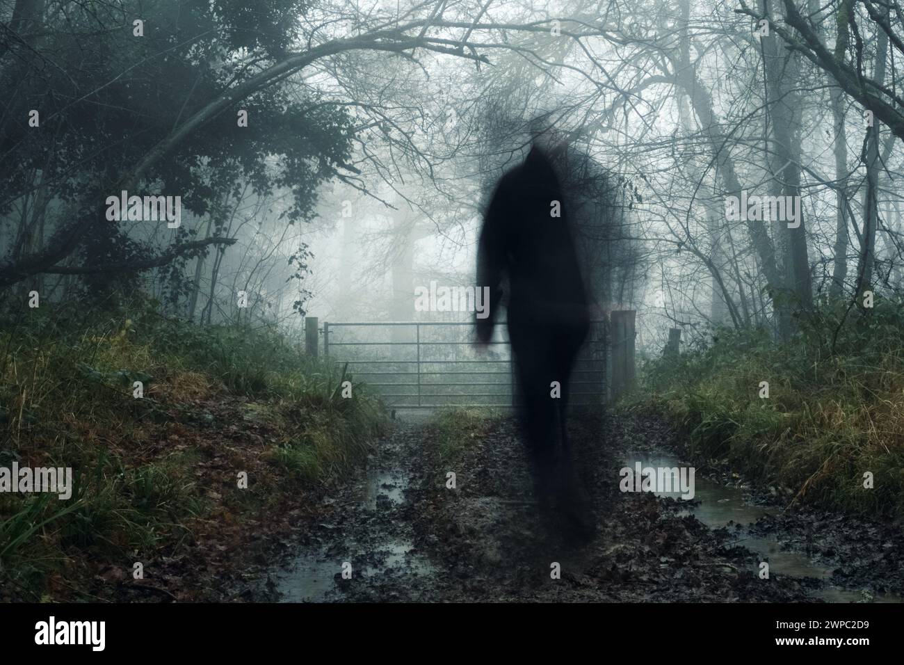 A spooky, creepy ghost like figure. Walking along a forest path. On a ...