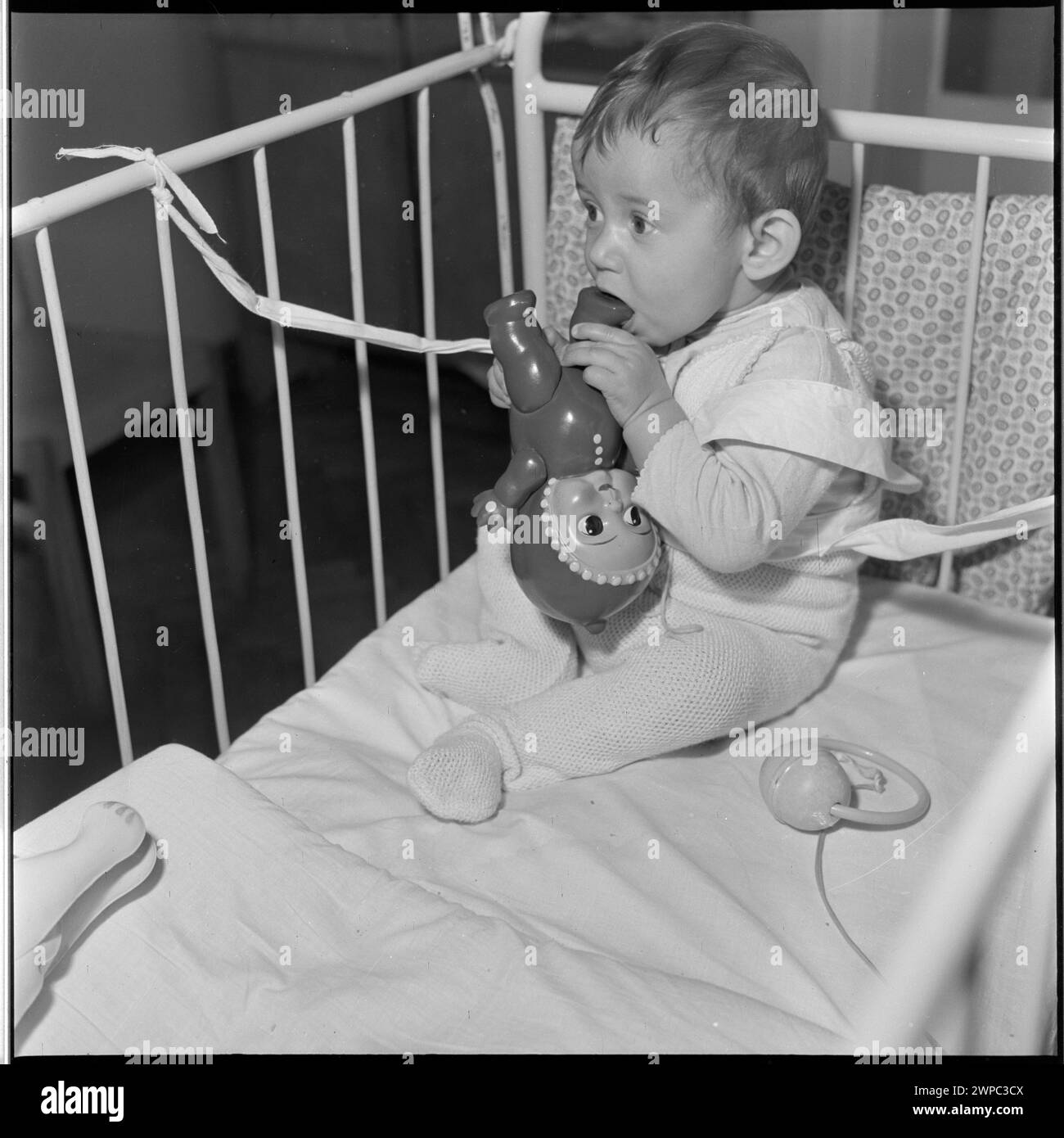 Warne Black and White Stock Photos & Images - Alamy