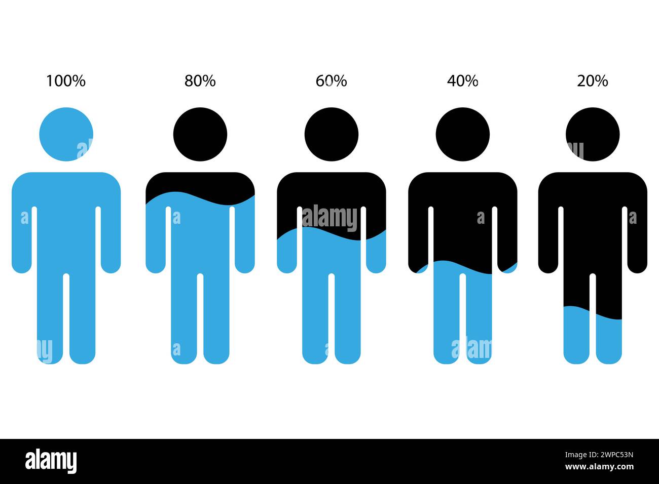 Body hydration silhouettes. Water content levels. Health educational ...