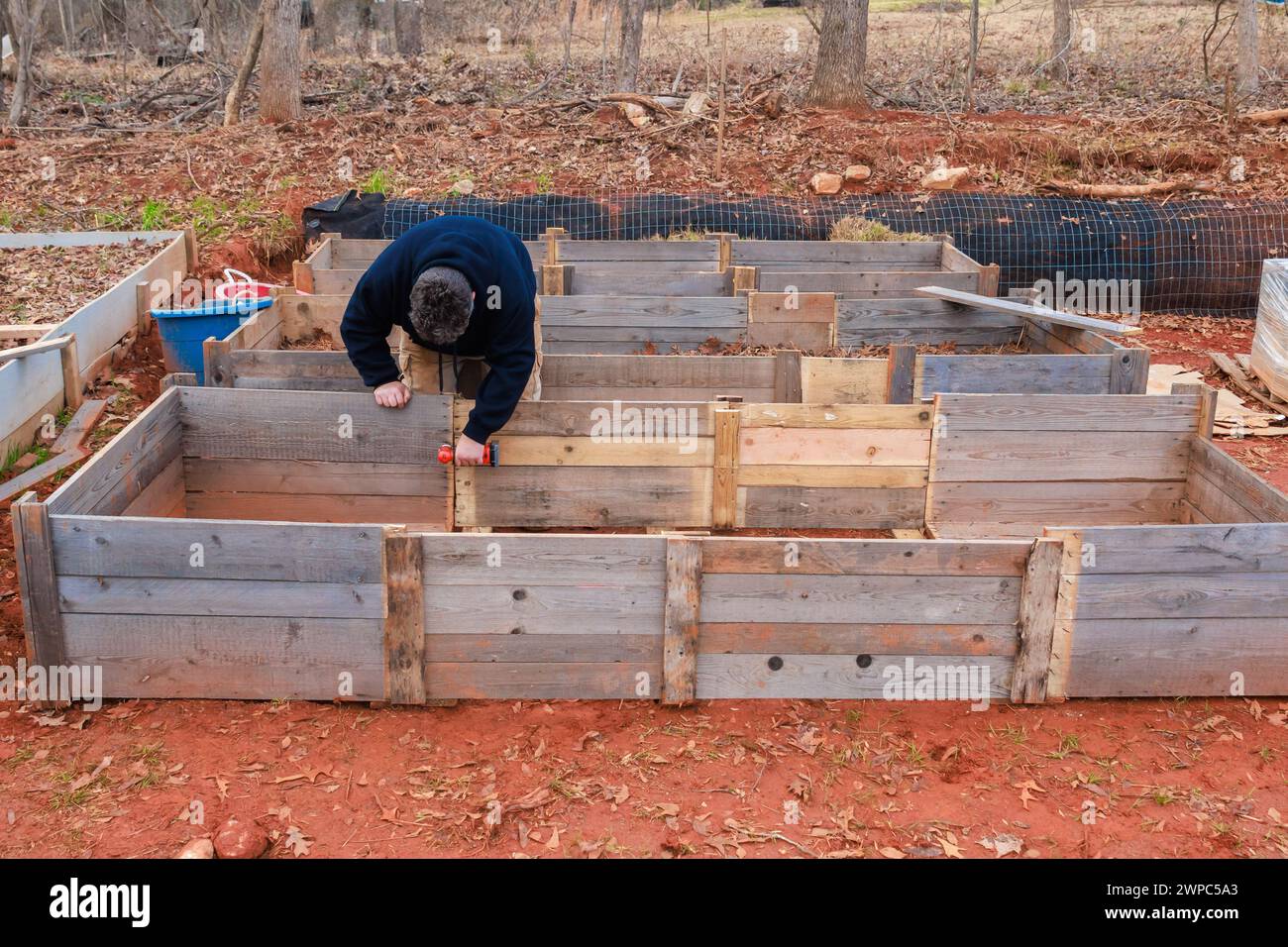 Wooden frames for raised garden beds being constructed by men Stock ...