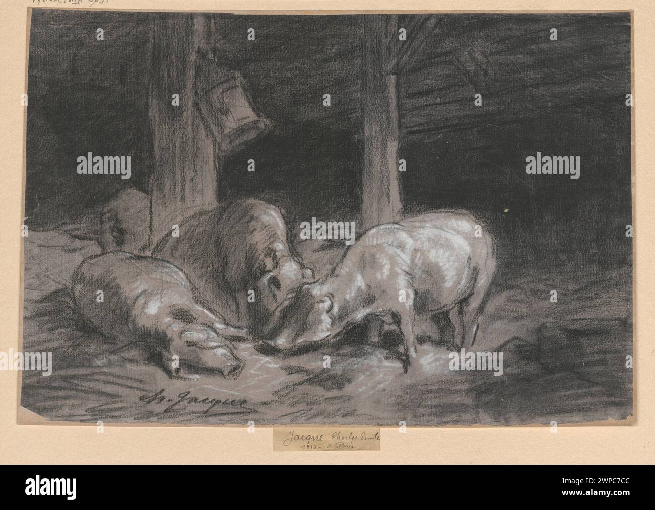 Charles-Émile Jacque illustrated pigs and wine in a pigsty after 1850 ...