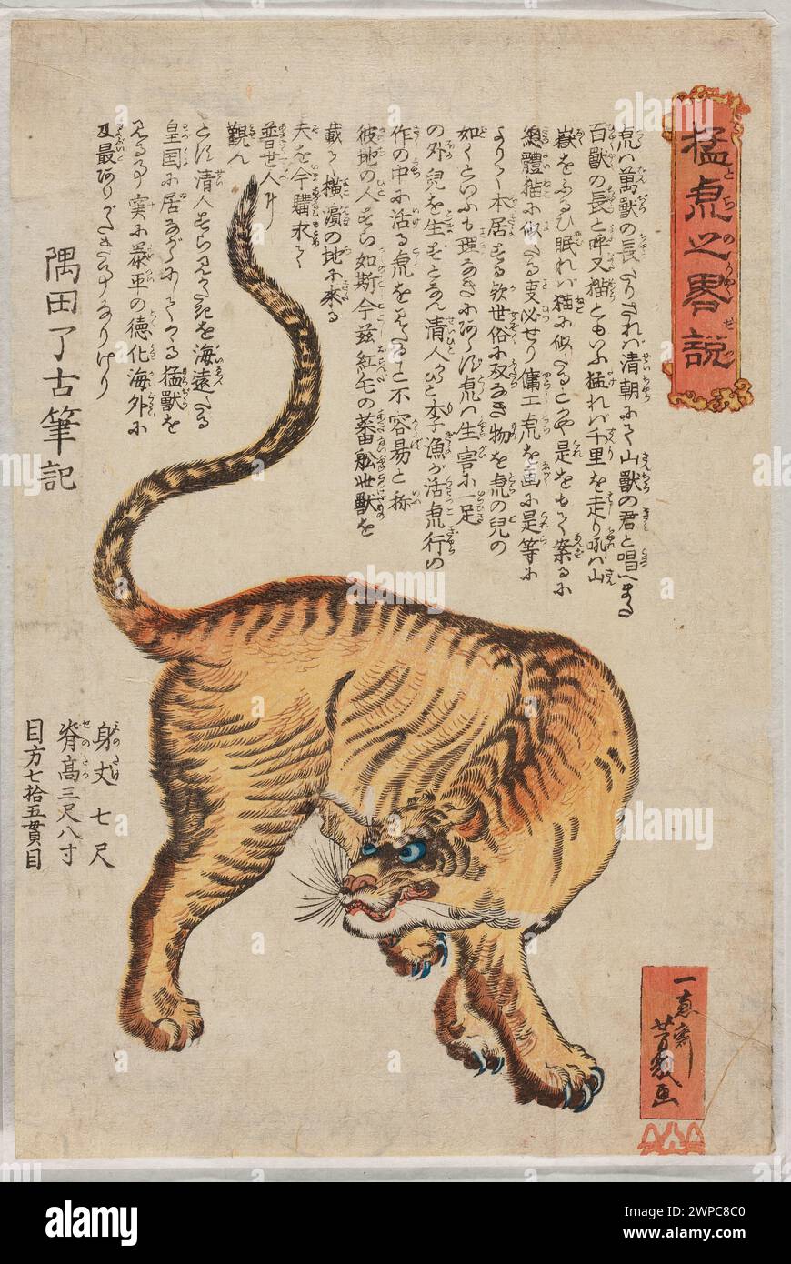 A faithful description of the awakening horror Tiger (Mô Tora no Ryaku ...