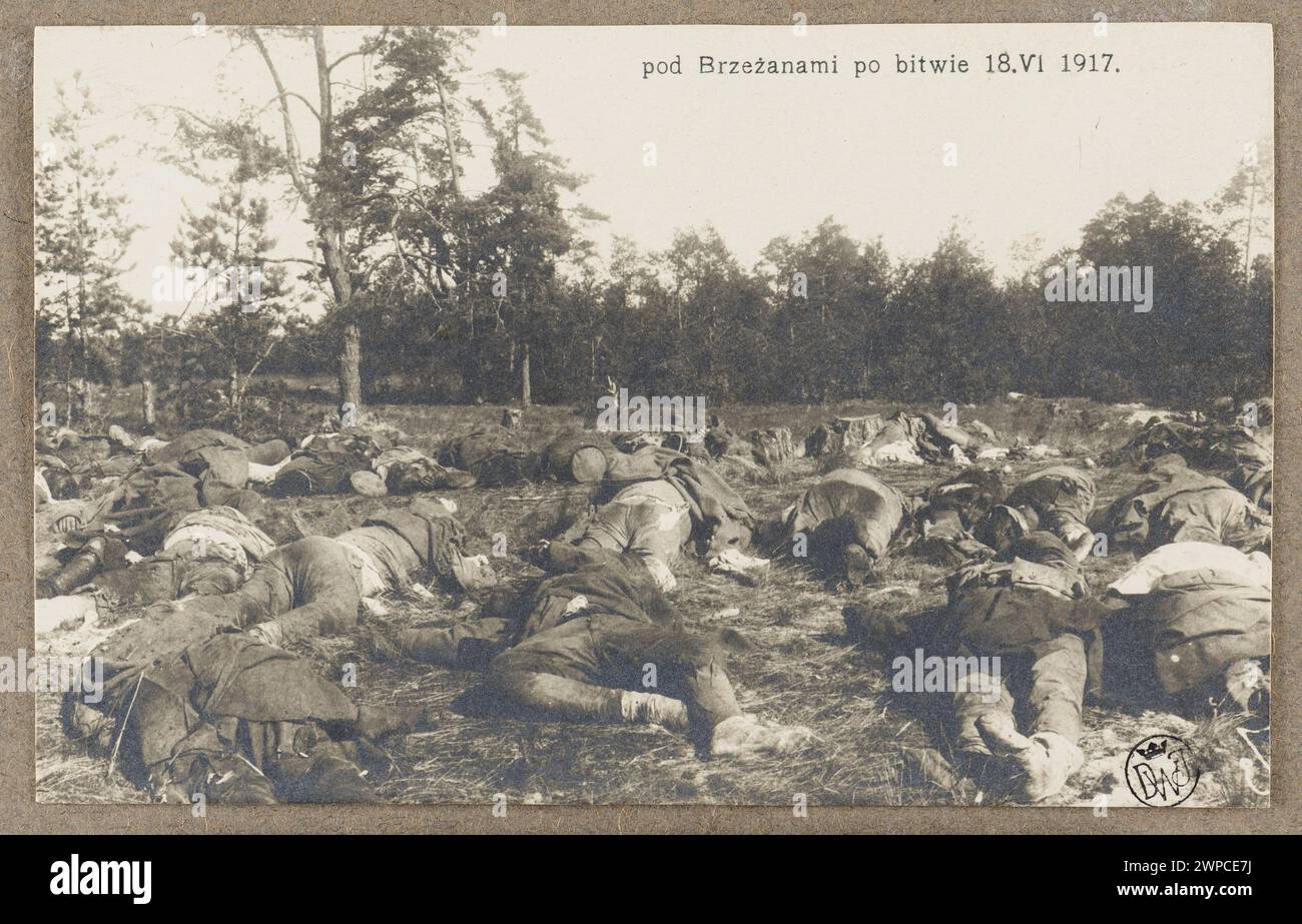 This 1917 artwork portrays fallen Polish Legion soldiers after the June ...