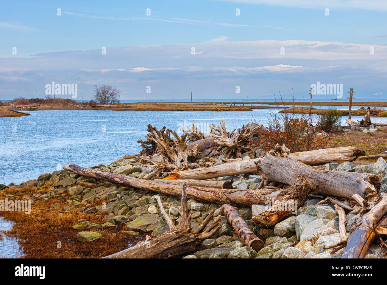 Coastal marshes hi-res stock photography and images - Alamy