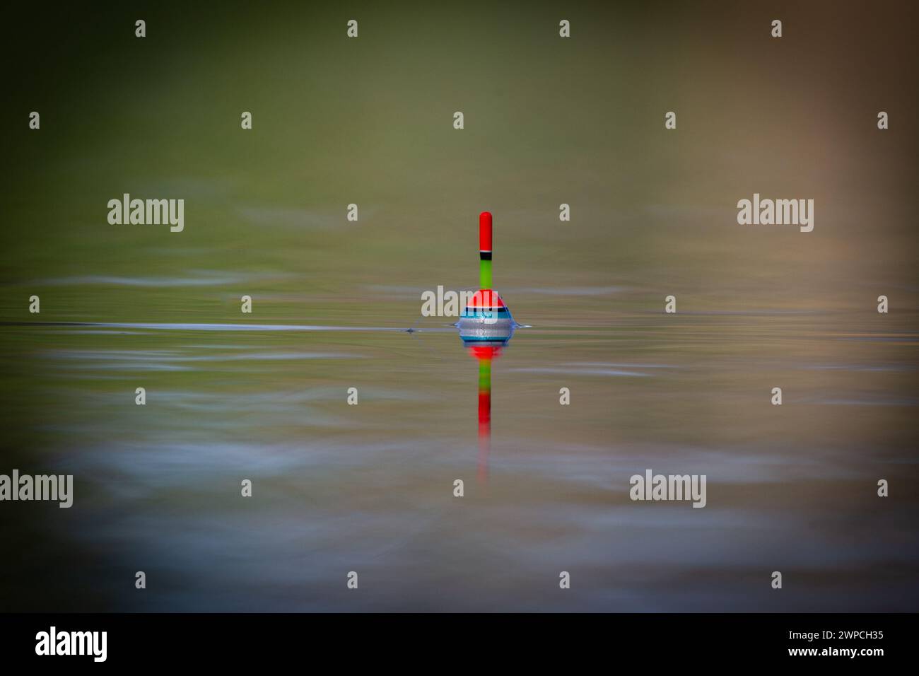 Fishing pose in the water Stock Photo - Alamy