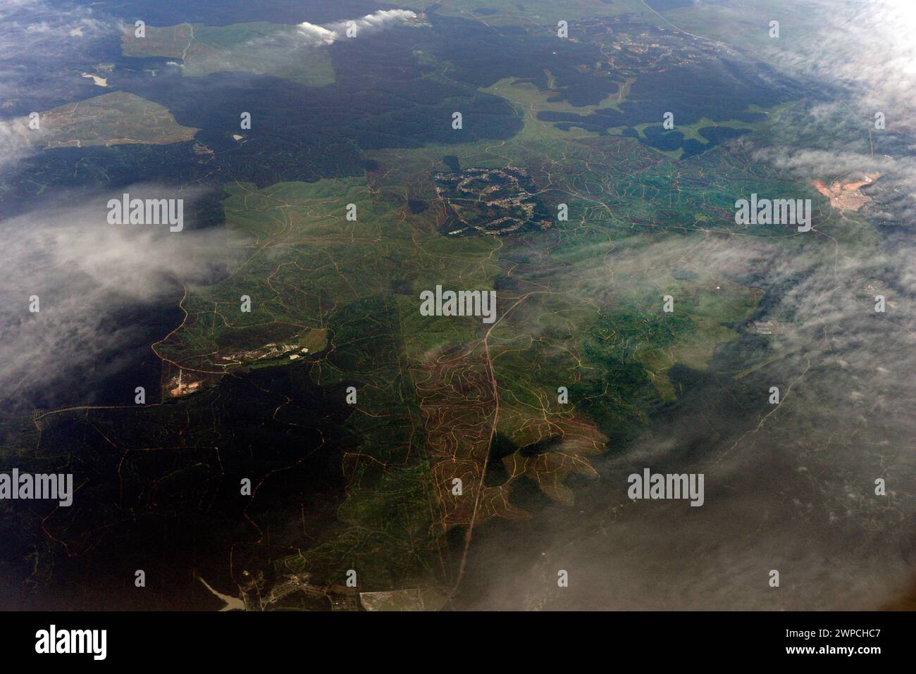 Aerial view of a large plantation area in Malaysia Stock Photo - Alamy
