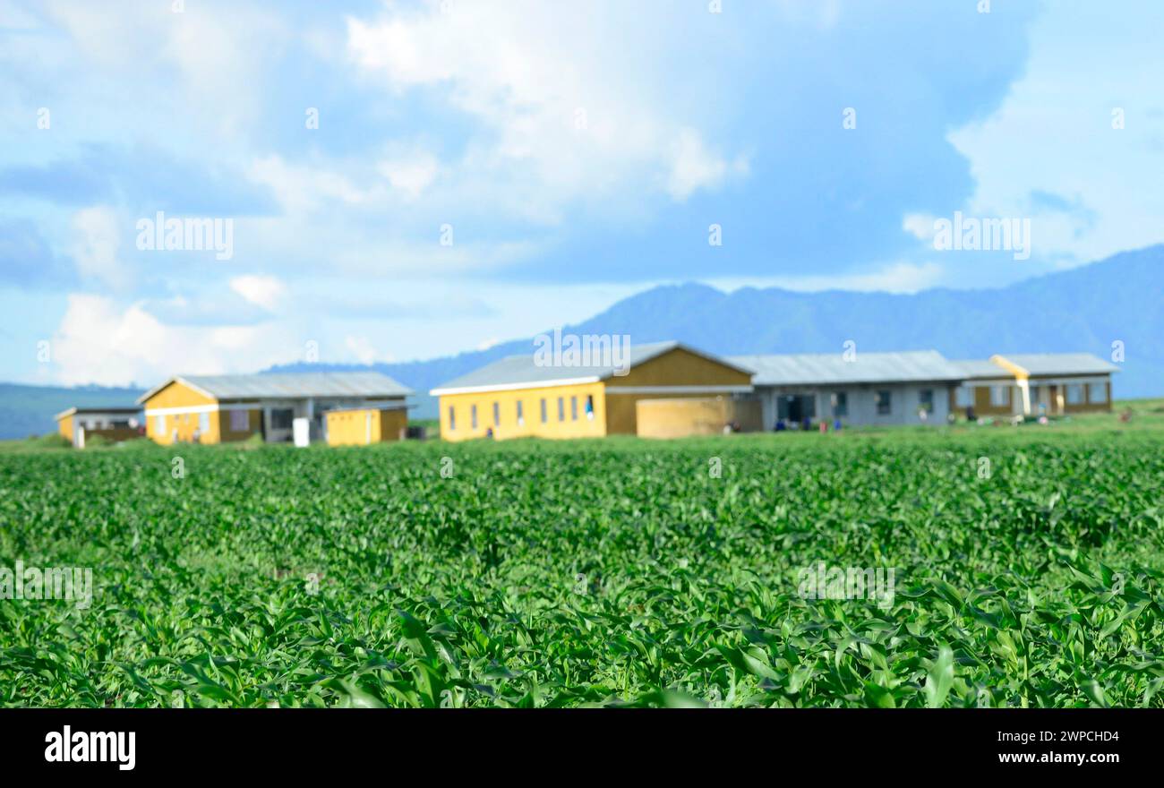 Large farm in outskirts hi-res stock photography and images - Alamy