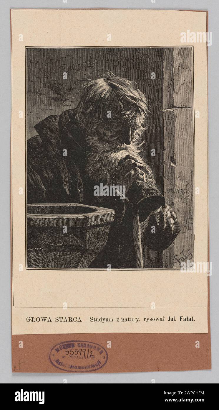 Portrait of an elderly man created in 1884, depicting facial features ...