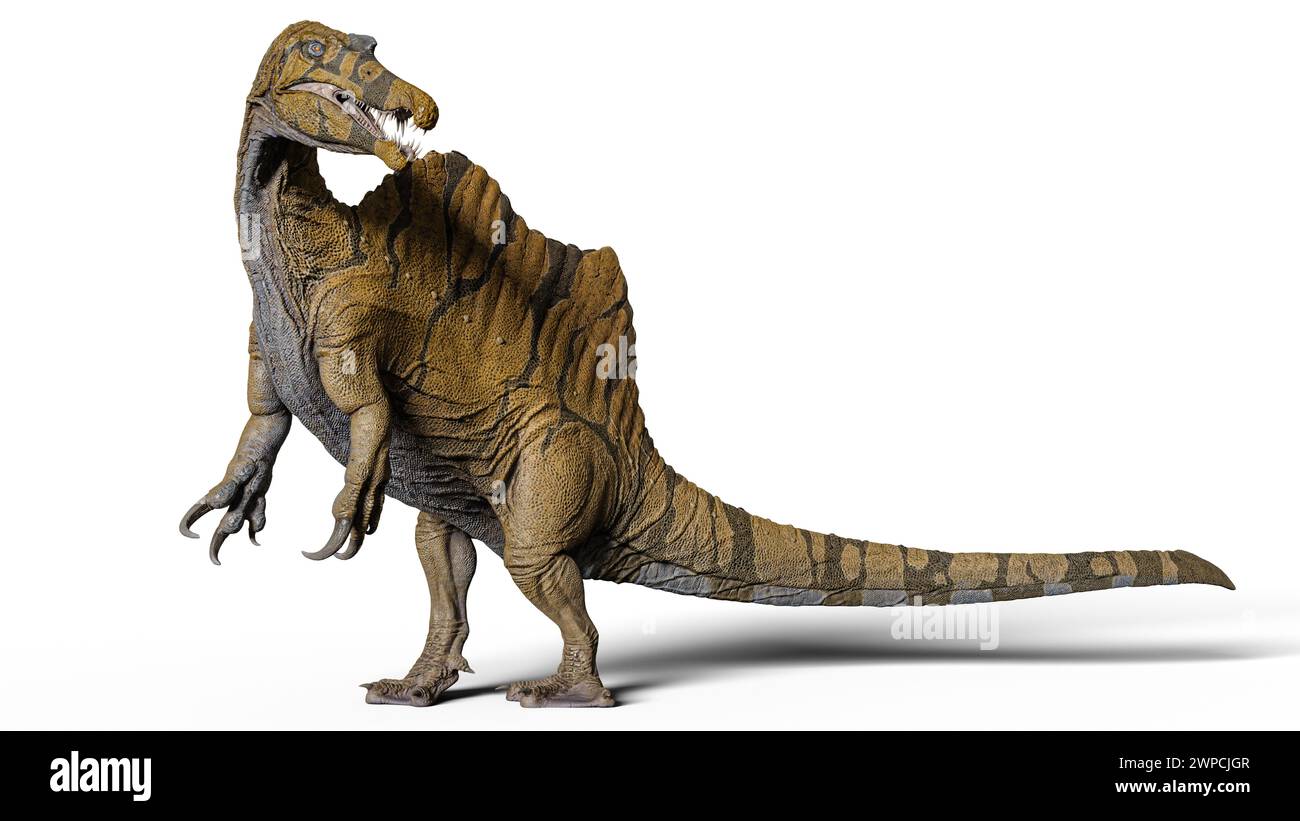Spinosaurus is a genus of spinosaurid dinosaur that lived in what now ...