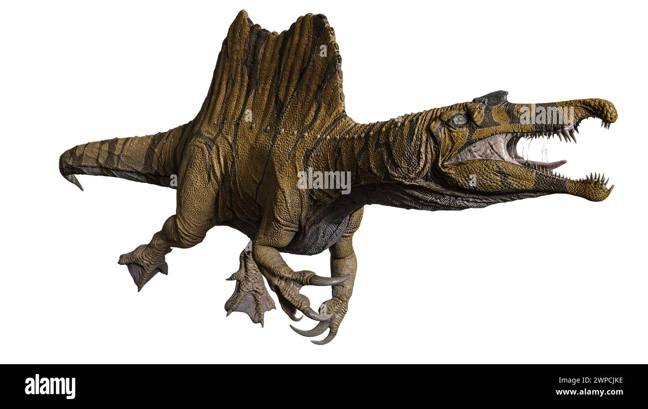 Spinosaurus is a genus of spinosaurid dinosaur that lived in what now ...