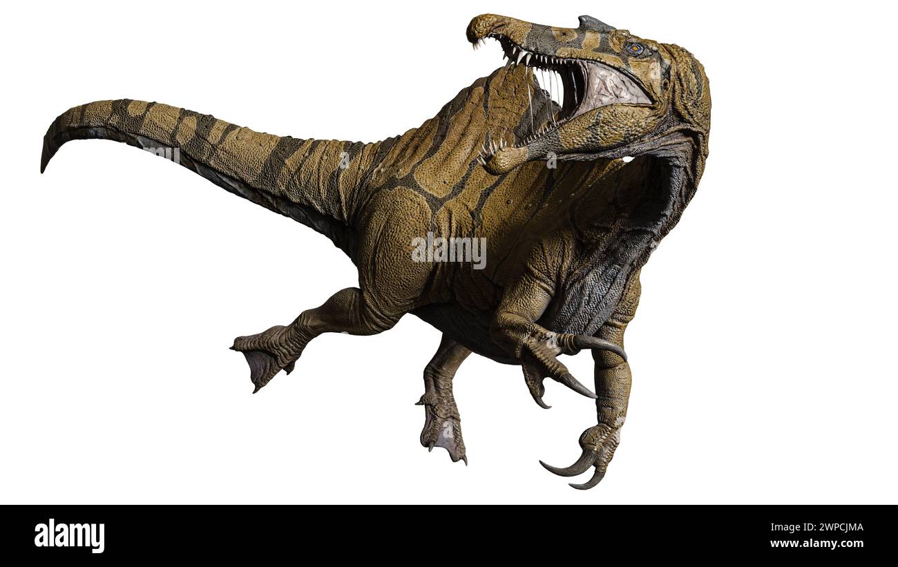 Spinosaurus is a genus of spinosaurid dinosaur that lived in what now ...