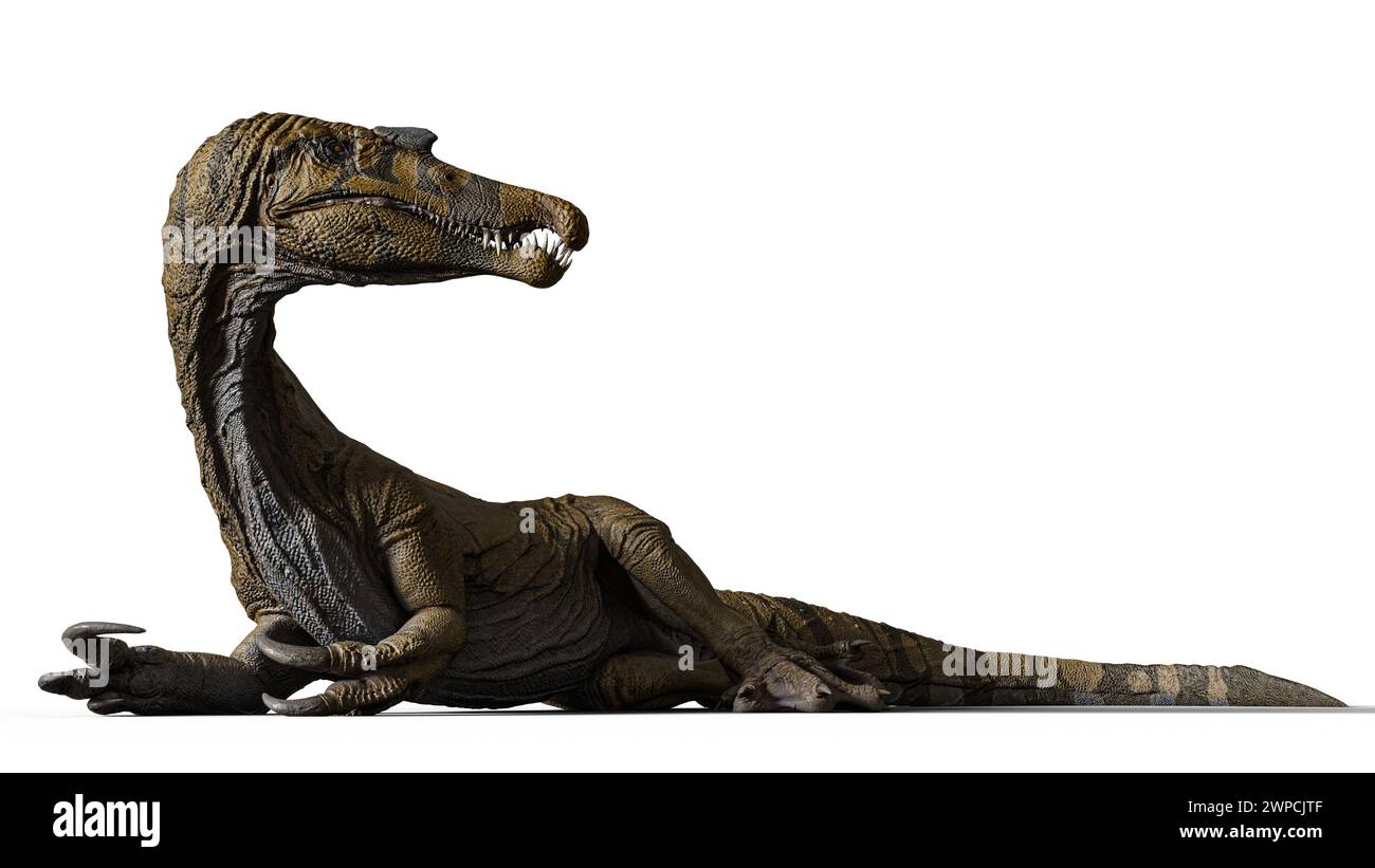 Spinosaurus is a genus of spinosaurid dinosaur that lived in what now ...