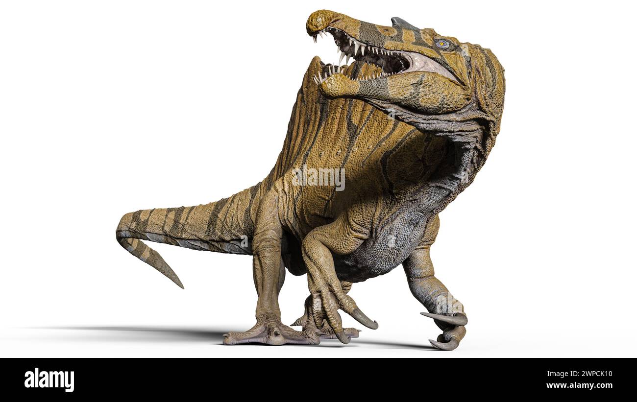 Spinosaurus is a genus of spinosaurid dinosaur that lived in what now ...