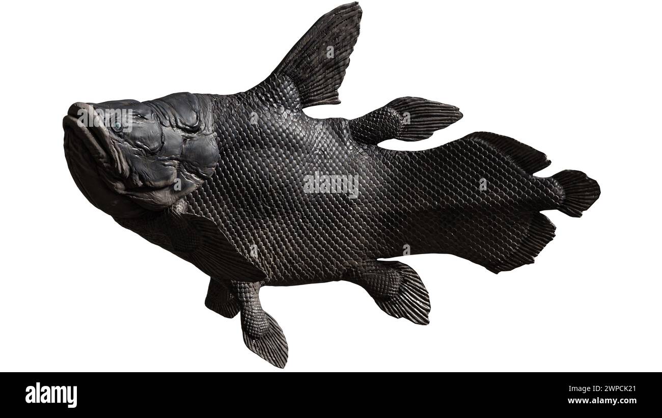 Mawsonia is an extinct genus of prehistoric coelacanth fish. It is amongst the largest of all ...