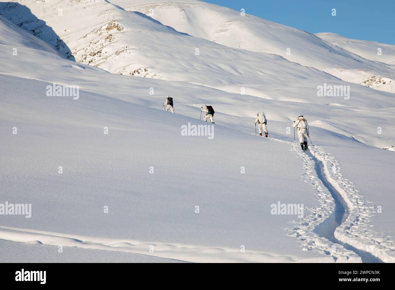 Greenland. 1st Mar, 2024. U.S. Special Operations Mountain Warfare ...