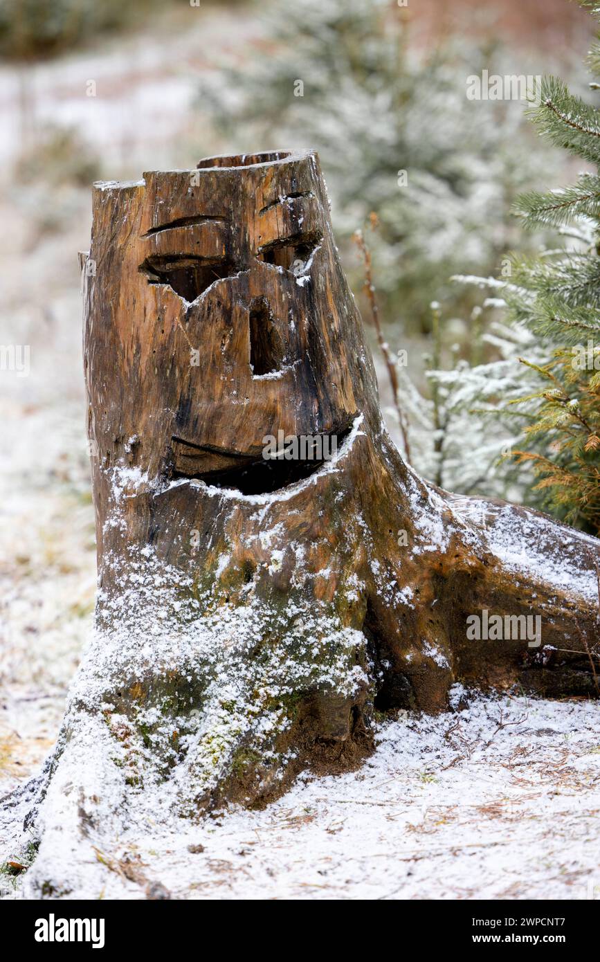 Smiling stump hi-res stock photography and images - Alamy