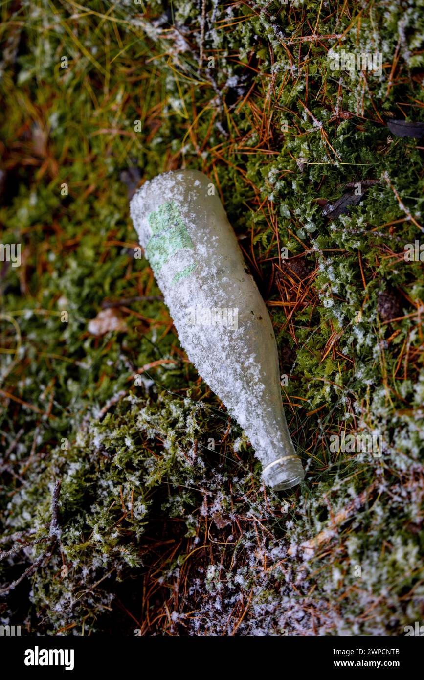 Plastic cup in the spring forest. Plastic garbage in nature. Spring ...