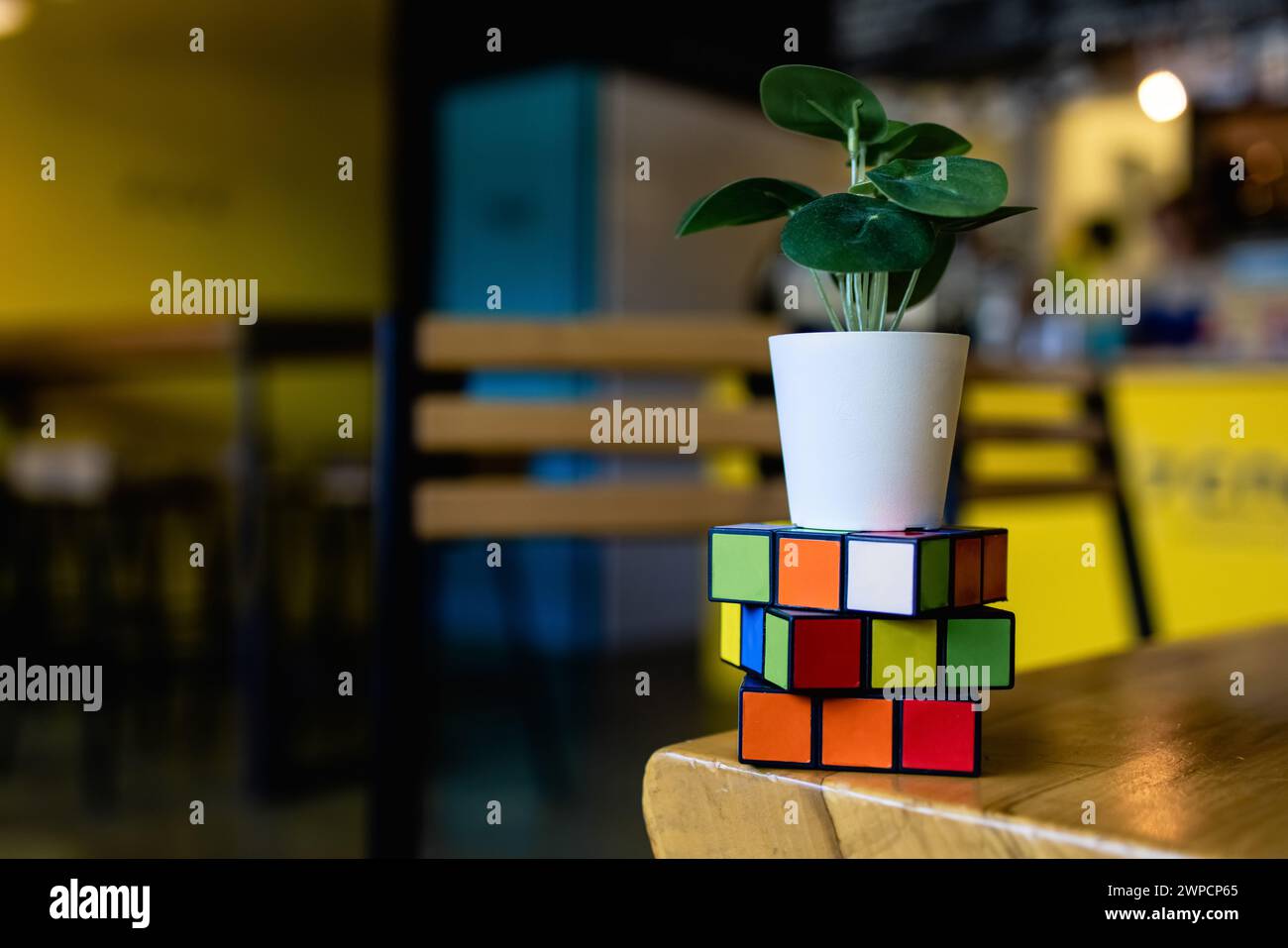 KUALA LUMPUR, MALAYSIA - 30th NOVEMBER 2021: Plant on a cube of rubik ...