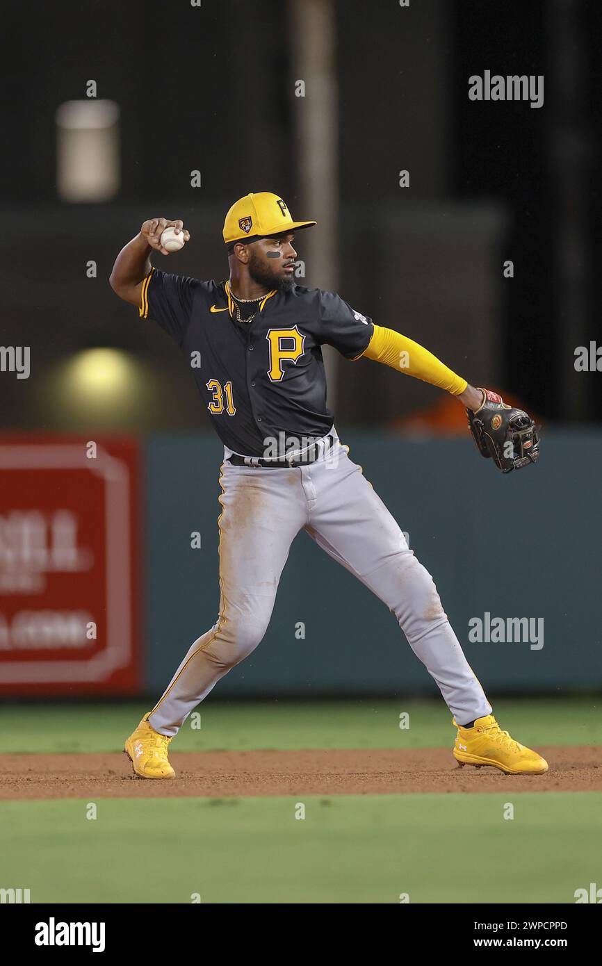 Sarasota FL USA; Pittsburgh Pirates right fielder Joshua Palacios (77 ...