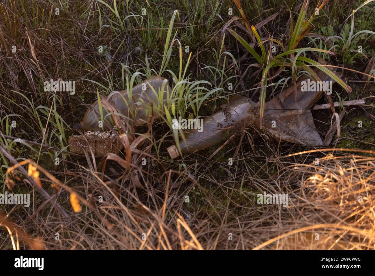 Plastic waste litter scattered hi-res stock photography and images - Alamy