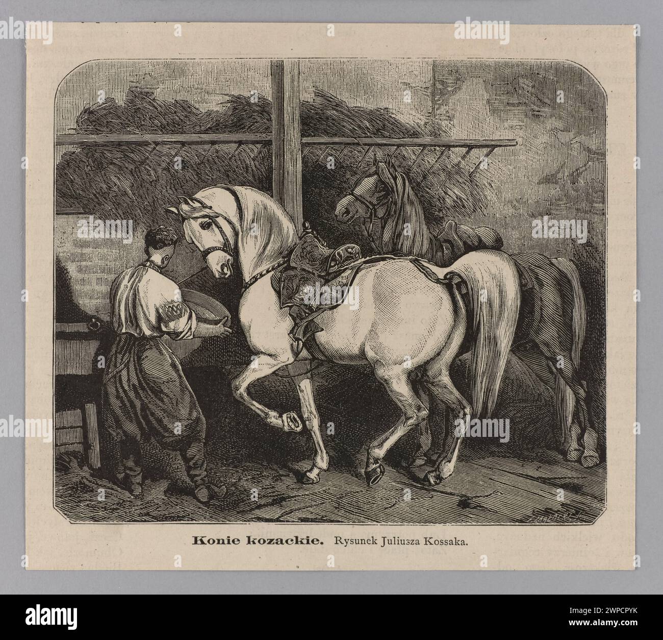 Illustration of Cossack horses by Juliusz Kossak and Feliks Zab Ocki ...