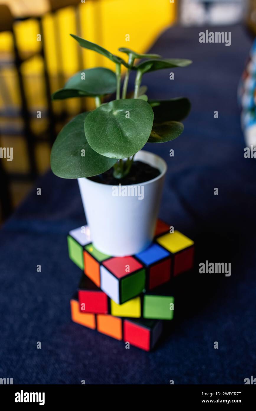 KUALA LUMPUR, MALAYSIA - 30th NOVEMBER 2021: Plant on a cube of rubik ...