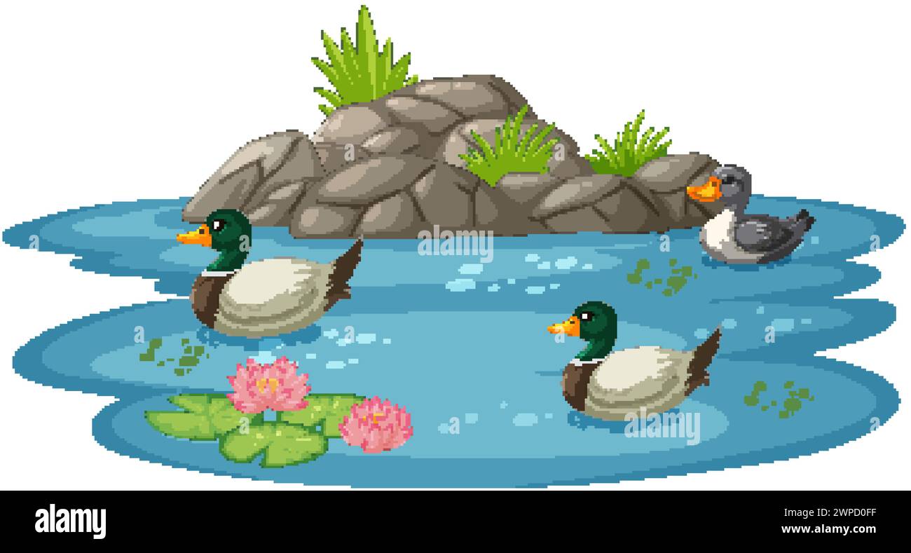 Vector illustration of ducks swimming in a pond Stock Vector Image & Art - Alamy
