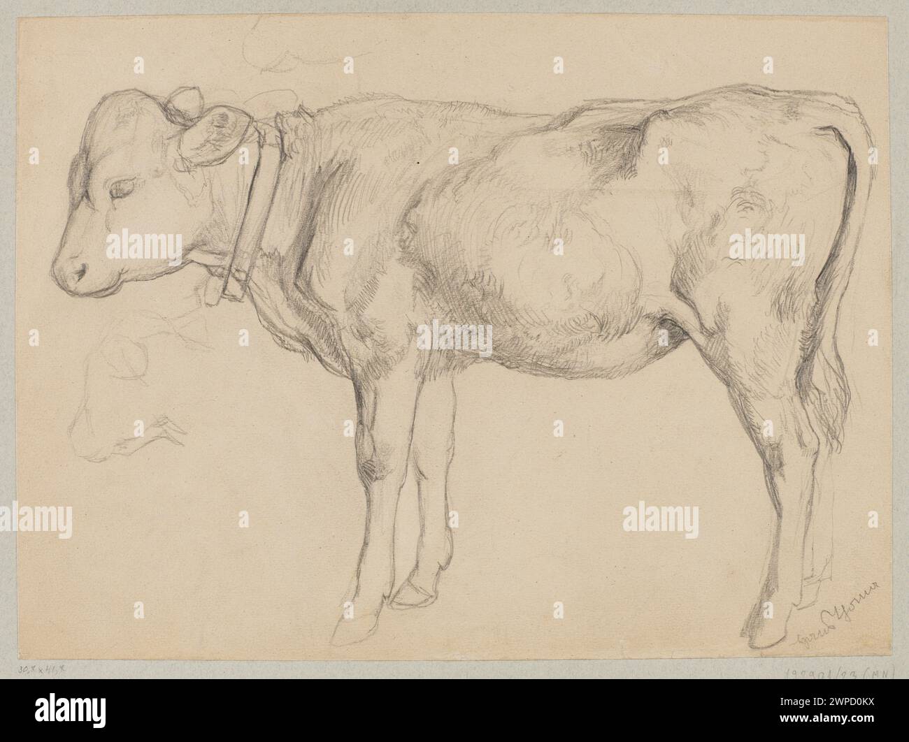 Bull sketch hi-res stock photography and images - Alamy