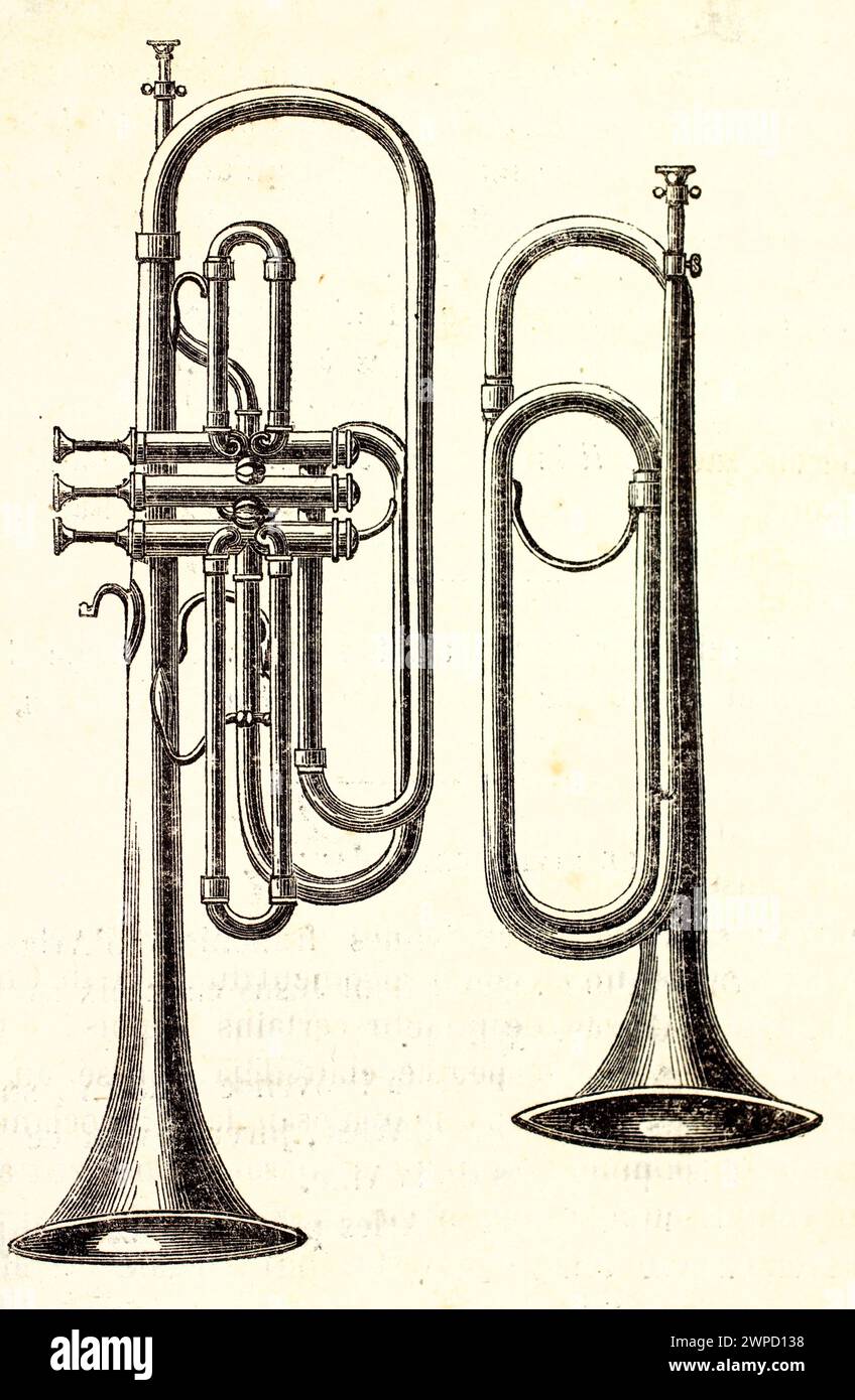 Engraved illustration of two isolated French trumpets on white ...