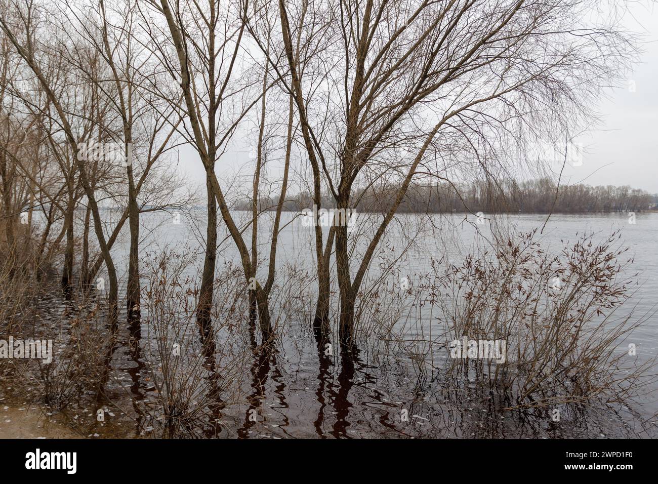 KYIV, UKRAINE - MARCH 06, 2024 - The area in Natalka Park flooded as a ...