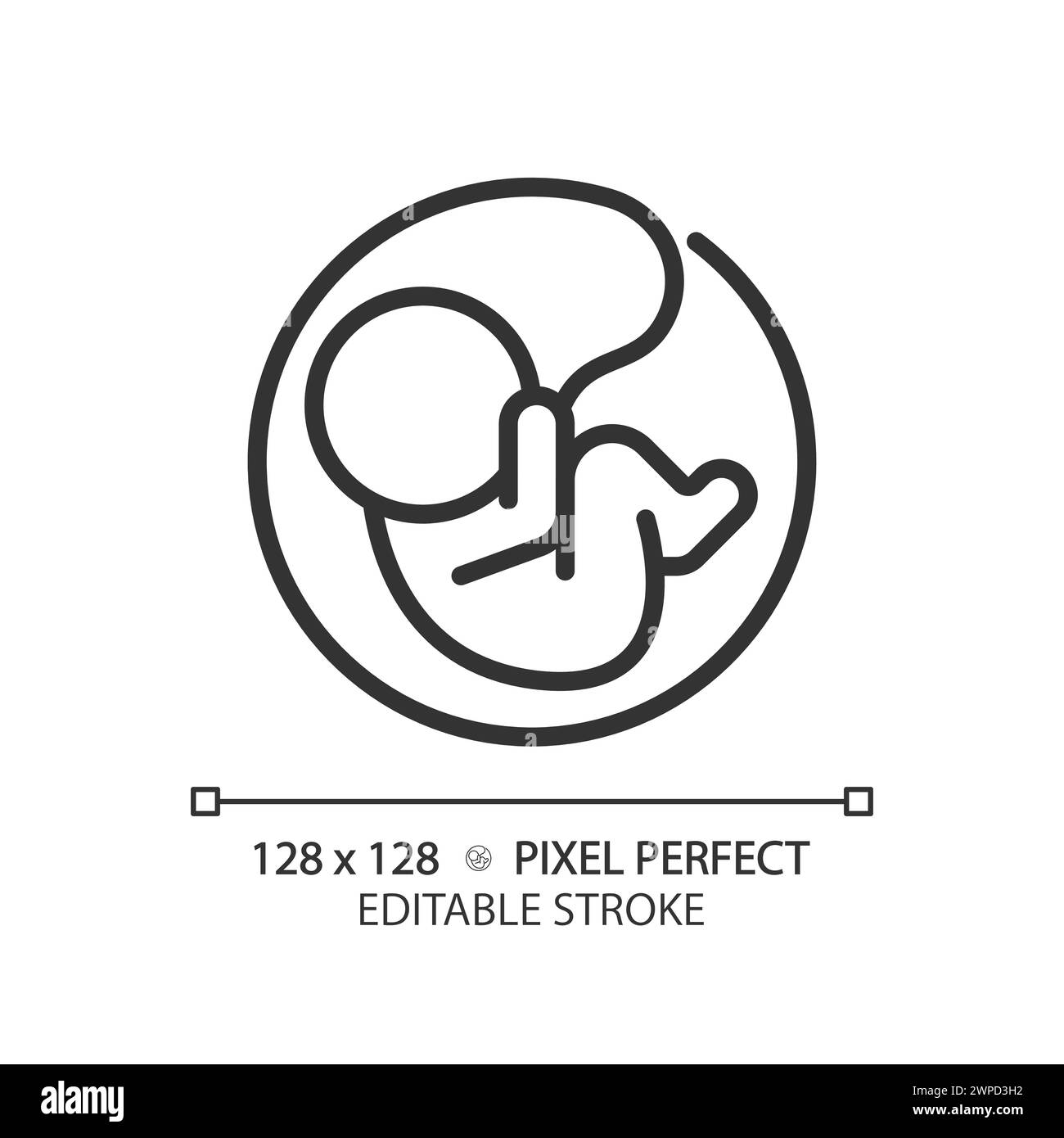 Embryo linear icon Stock Vector Image & Art - Alamy