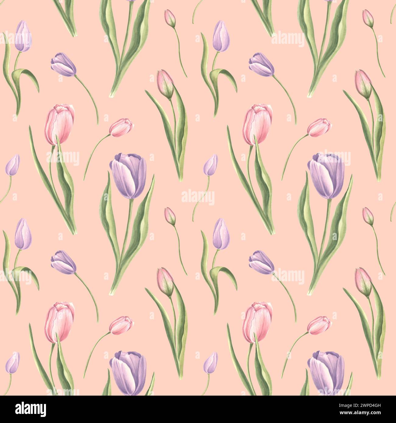 Seamless pattern from purple pink tulips with leaves on a peach ...