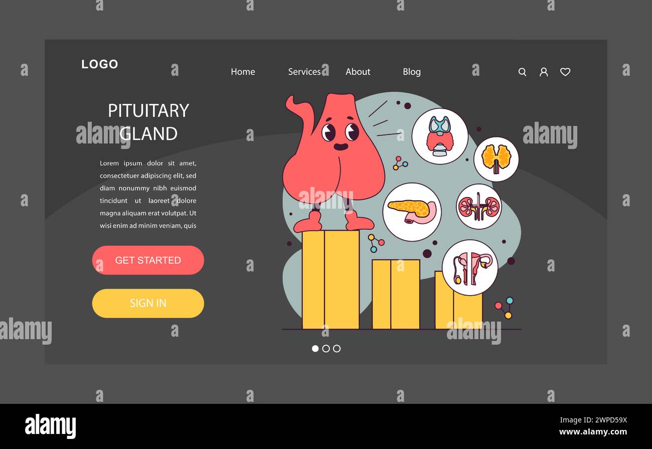 Pituitary gland anatomy night or dark mode web banner or landing page ...