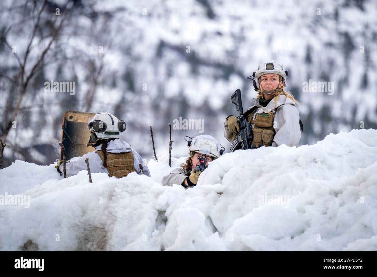 Norwegian soldiers take part in the NATO Nordic Response military ...
