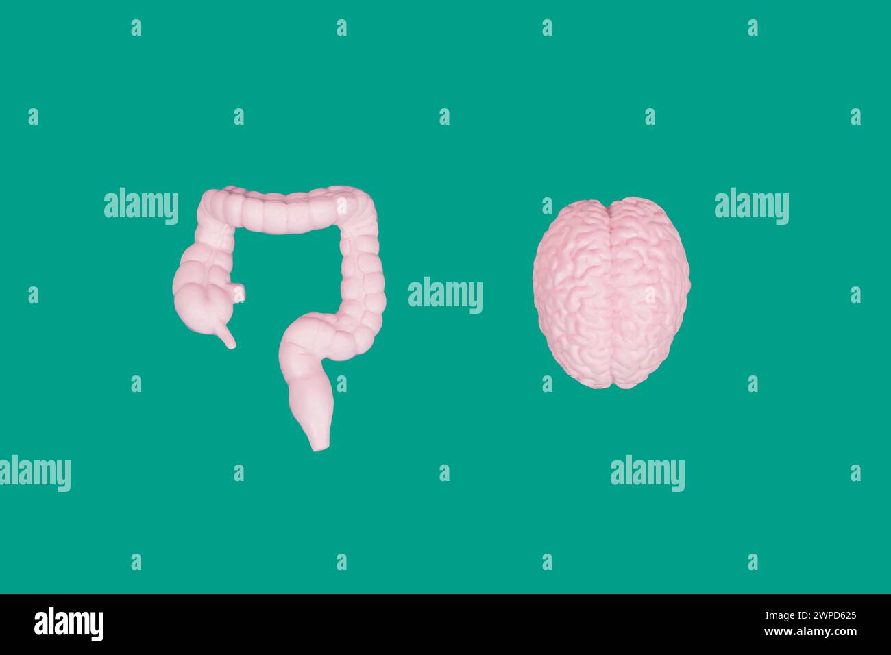 Top view of a human brain and intestine figurines arranged on a green ...