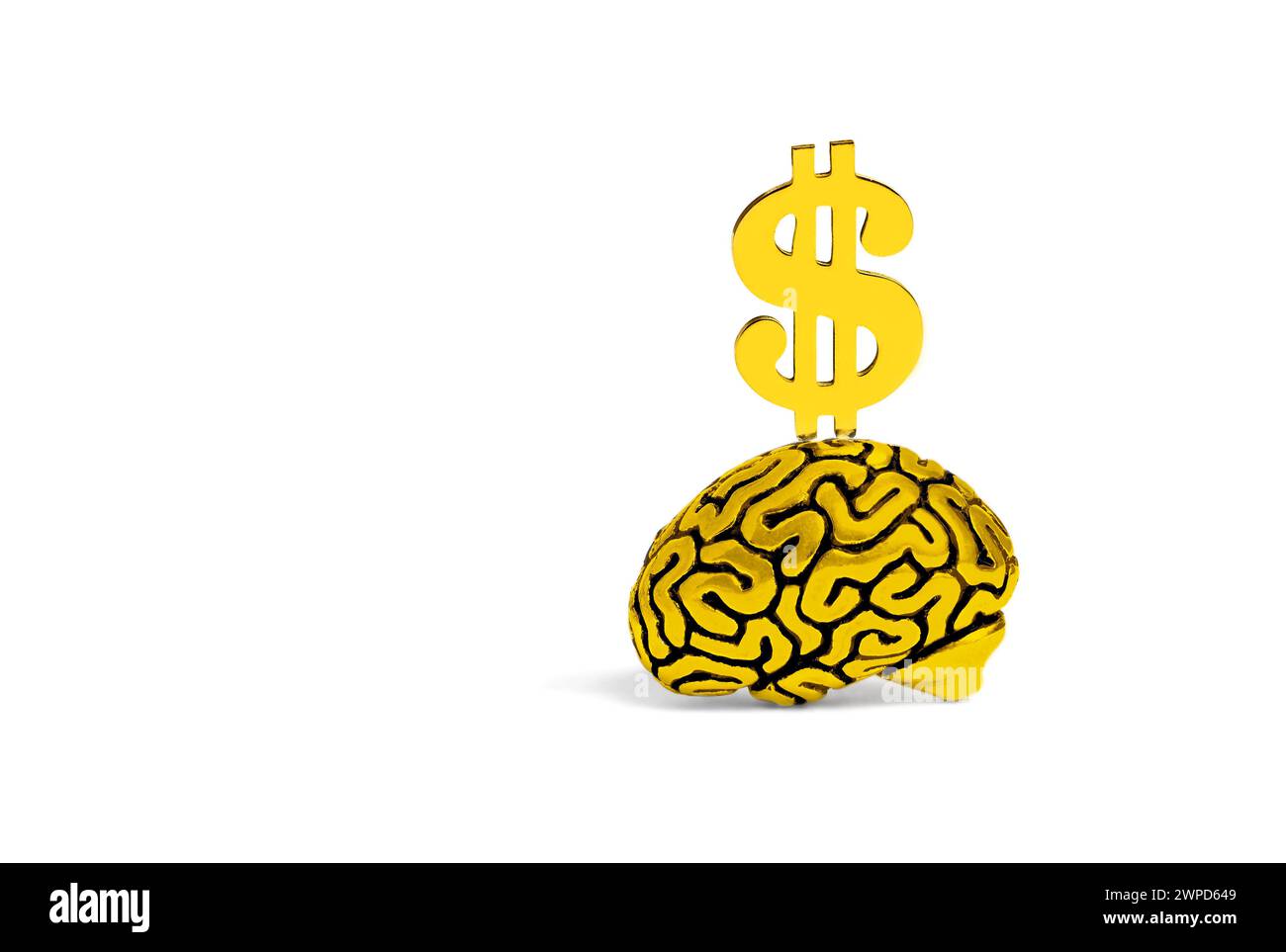 Gold model of the human brain adorned with a prominent dollar sign, set ...