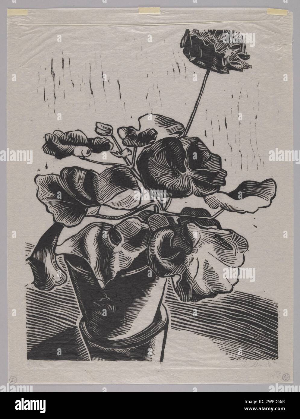 Realistic botanical painting hi-res stock photography and images - Alamy
