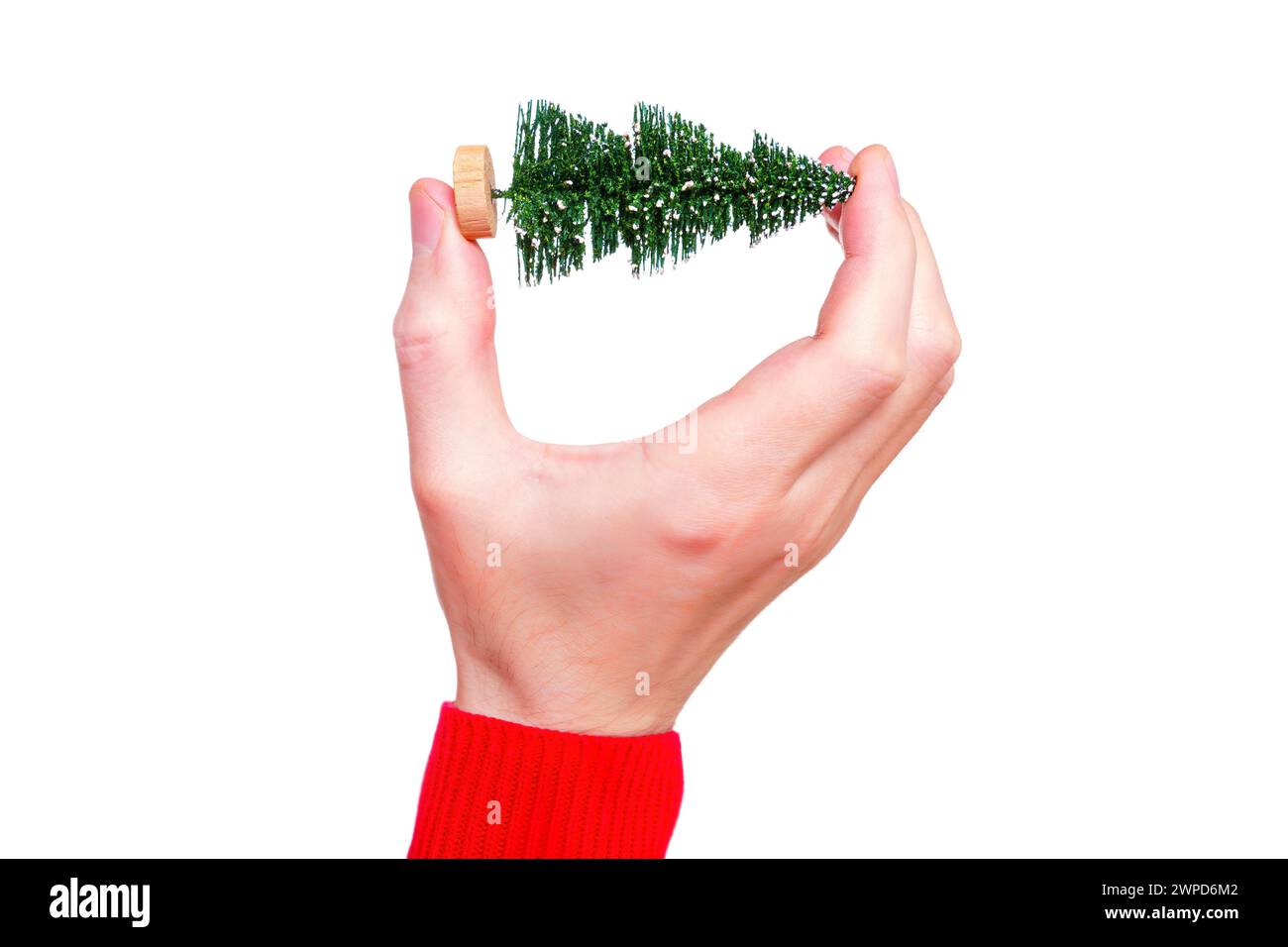 Close-up view of a male hand pinch holding a tiny Christmas tree ...