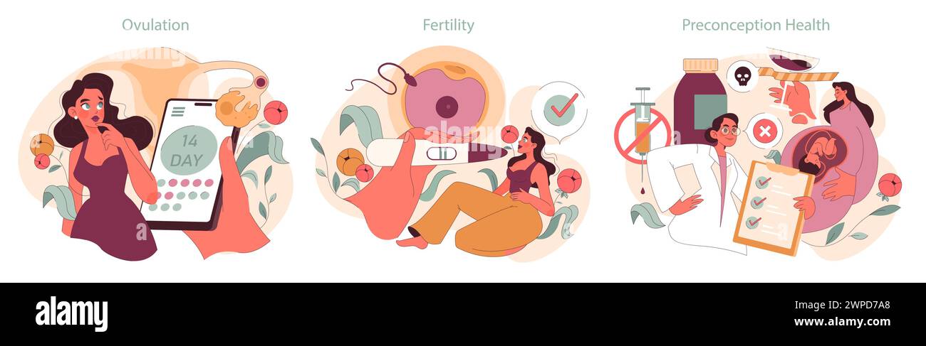 Female reproductive hormones hi-res stock photography and images - Alamy